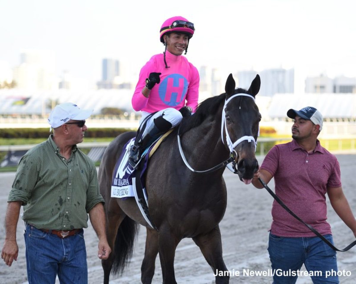 Value Engineering Determined Winner Of Mac Diarmada, Caps Graded Double ...