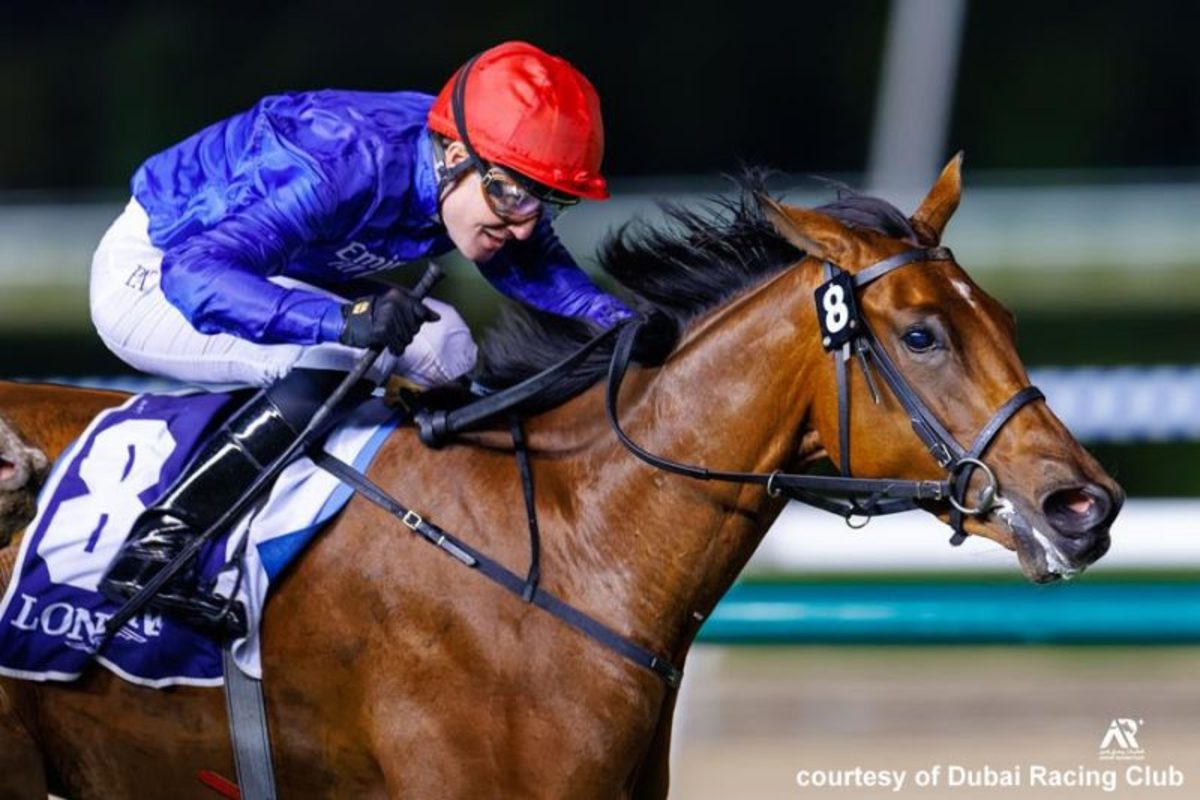 Mawj, Half-Sister To Champion Modern Games, Makes U.S. Debut In ...