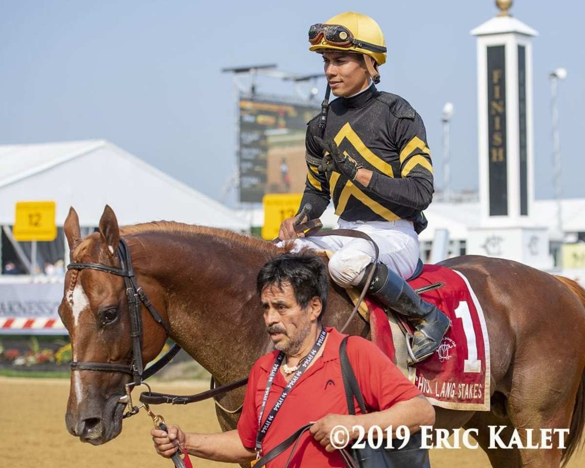 Calumet Farm Reveals 2024 Stallion Roster, Fees - Paulick Report ...