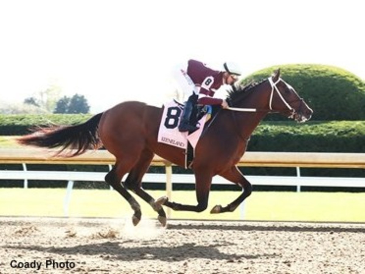 Promising Maiden Winner Extra Anejo Resumes Training After Surgery ...