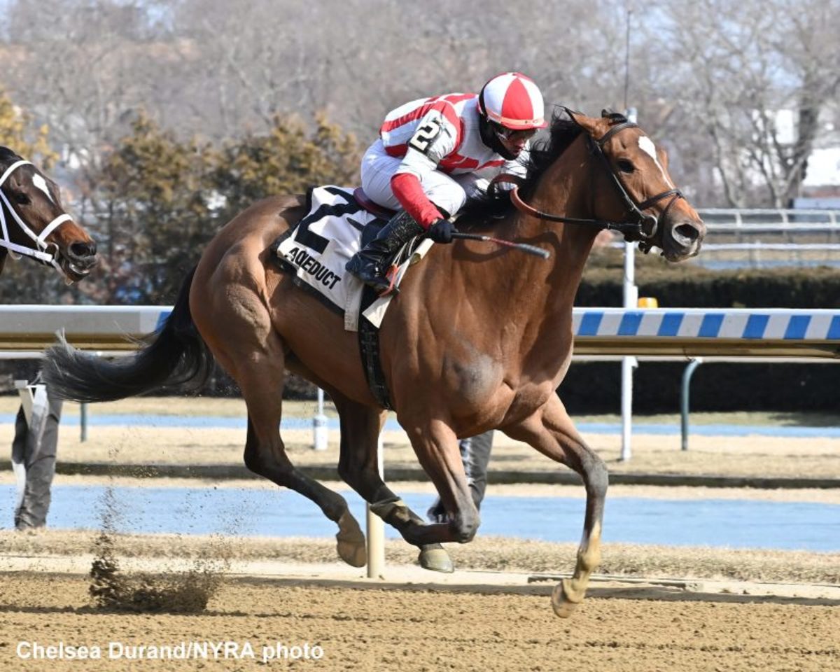 Into Mischief Filly Interpolate Cruises To First Stakes Score In ...