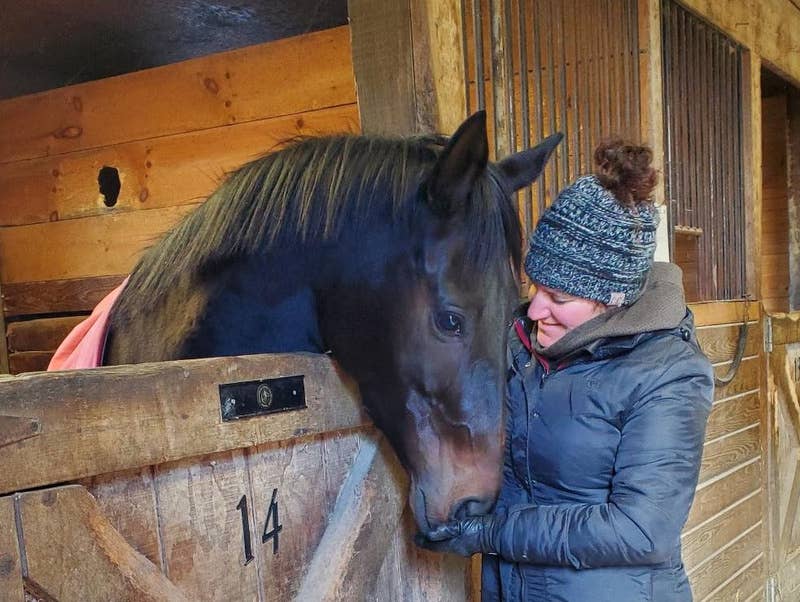 'Magical Journey': Fight On Lucy Becomes 1,000th Horse To Achieve Safe ...