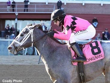 'Seems Like He Has A Very Good Brain On Him': Cox Re-Routes Candy Ride ...