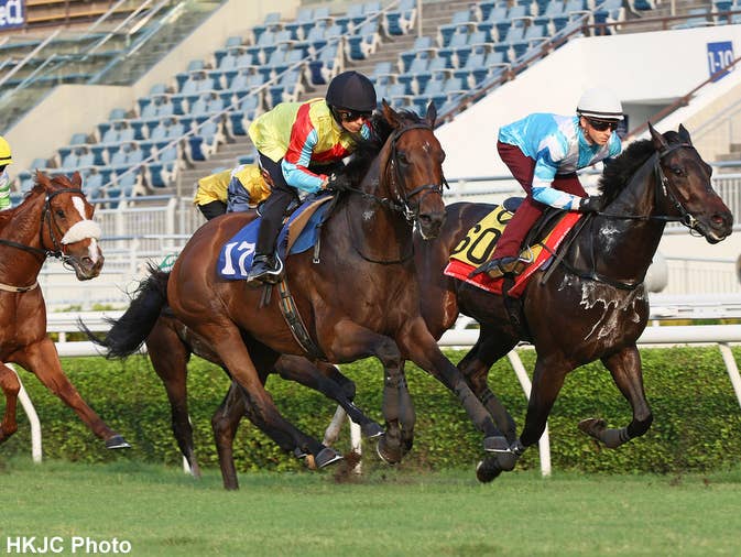 'We're Looking Forward To It': Hong Kong's Champion Sprinter Wellington ...