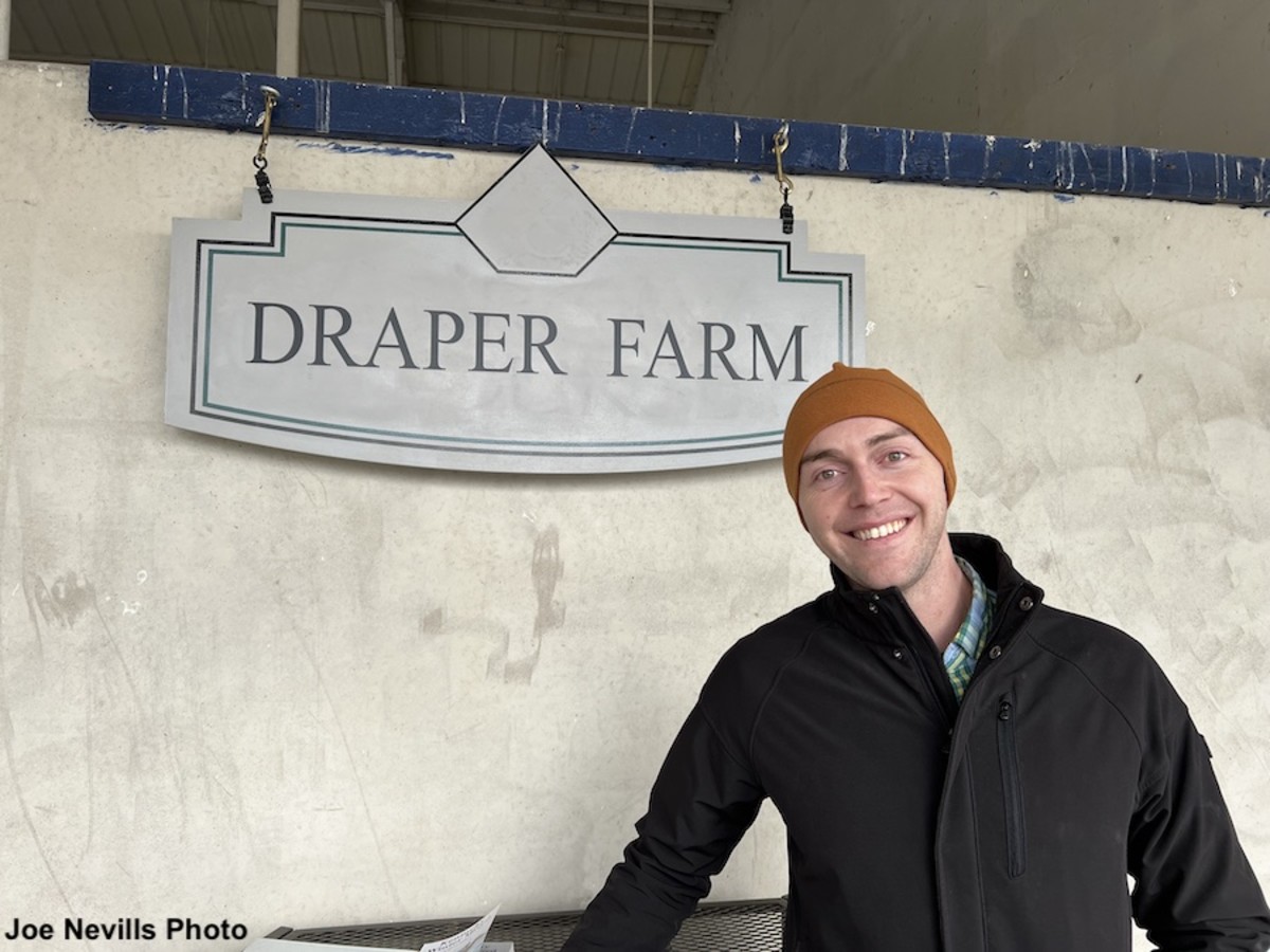 'It Felt Like The Right Time': Draper Aims To Grow Consignment At Fasig ...