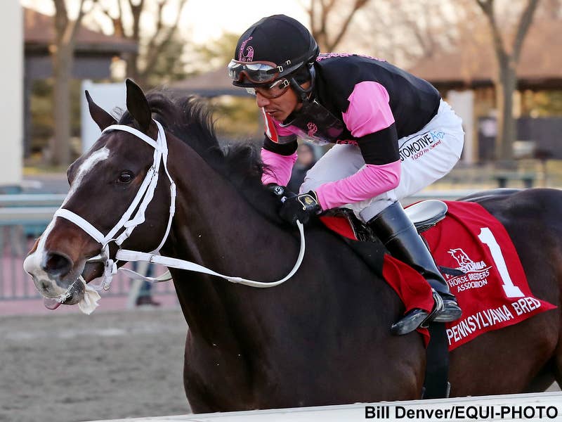 'I've Always Felt He's A Distance Horse': Dual Parx Stakes Winner ...