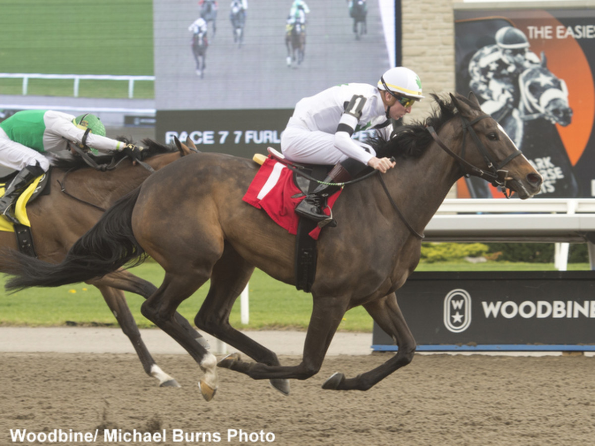 'Worth The Wait': Consistent Millie Girl Faces 11 Rivals In Ontario ...