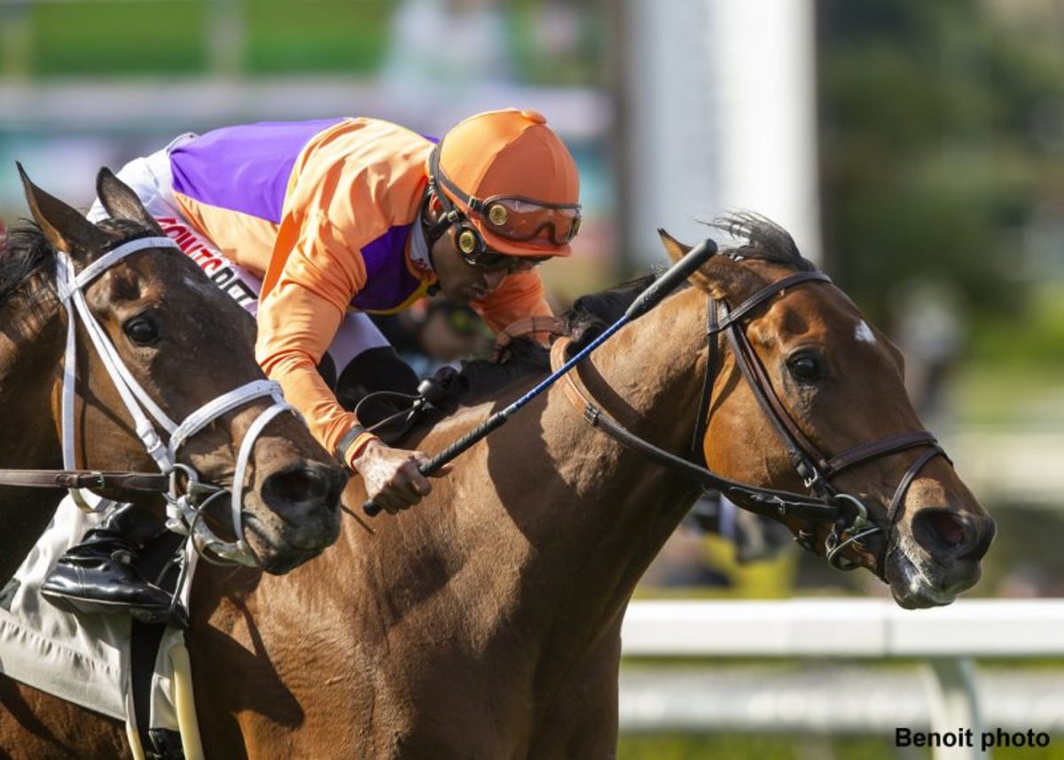 Teena Ella, Daughter Of Champion Beholder, Scores First Stakes Win In ...