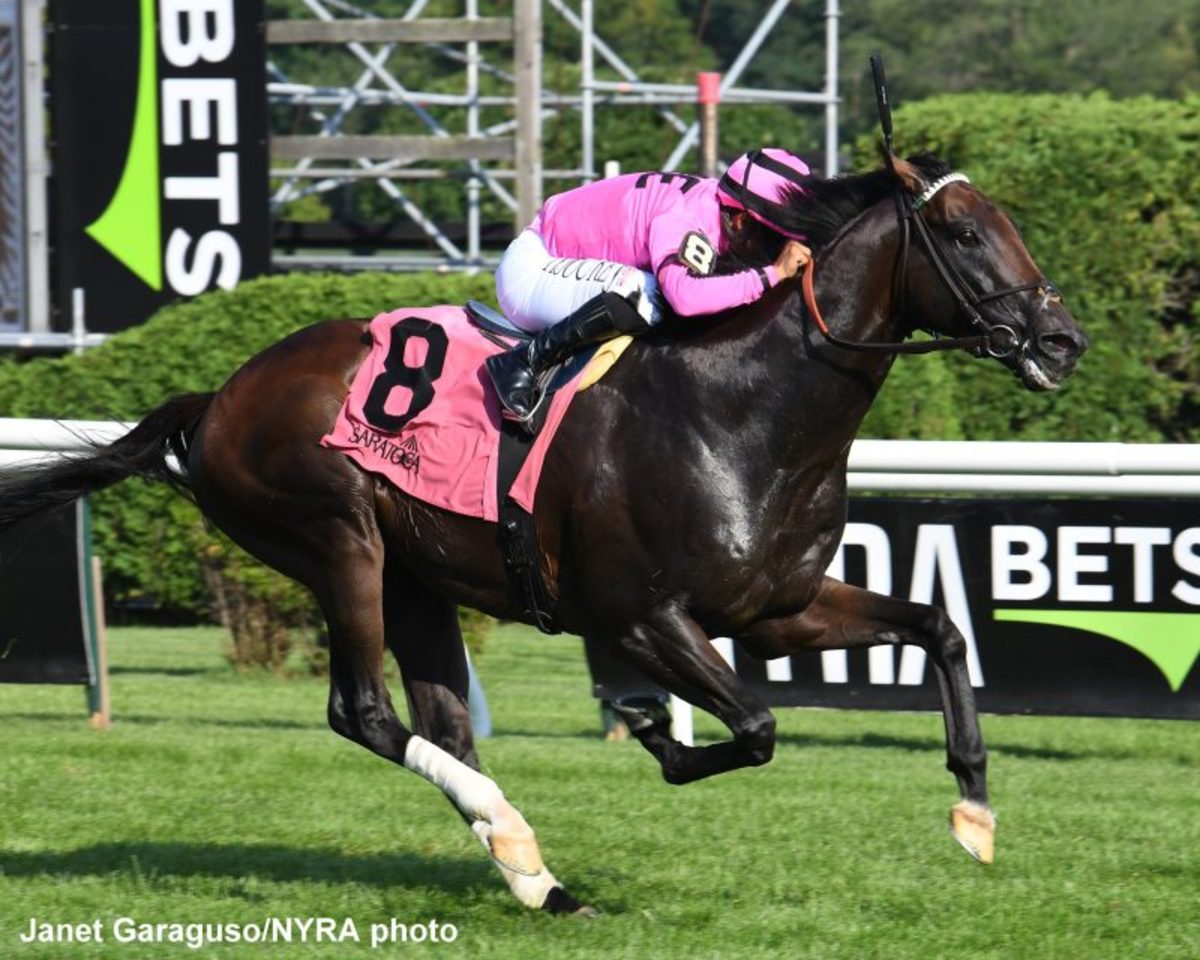 'If He's Ready, He'll Run': Casa Creed To Point For Fourstardave Repeat ...