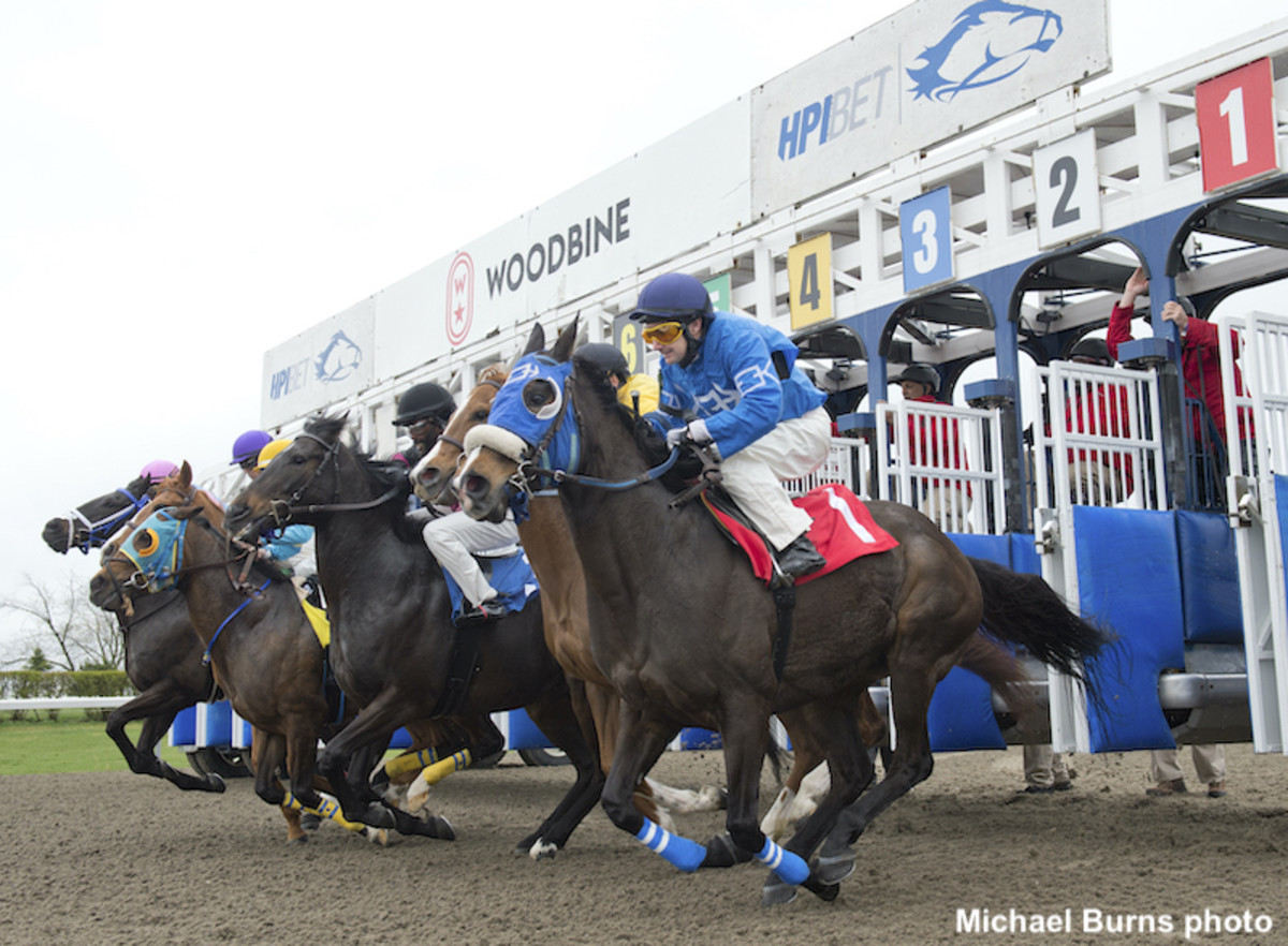 Woodbine Racetrack Announces Starter Bonus For 2024 Racing Season ...