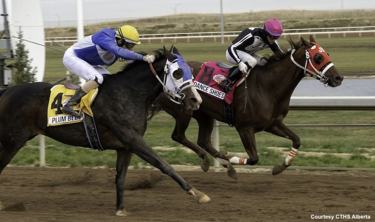 CTHS Alberta Outlines Four Incentive Programs For 2026 - Paulick Report ...