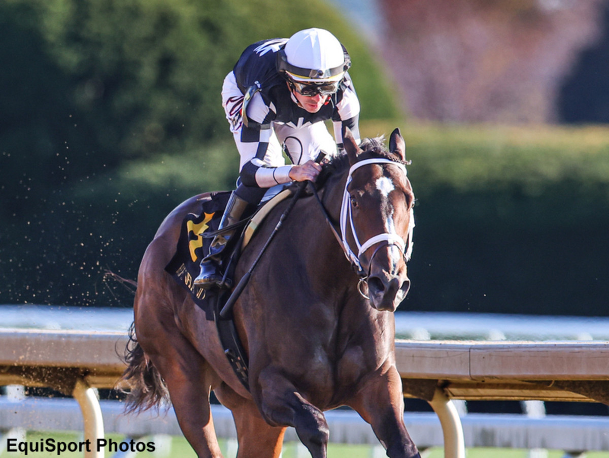 Flurry Hopes For 'Pick-Me-Up' As Stakes Winner Key Of Life Returns In ...