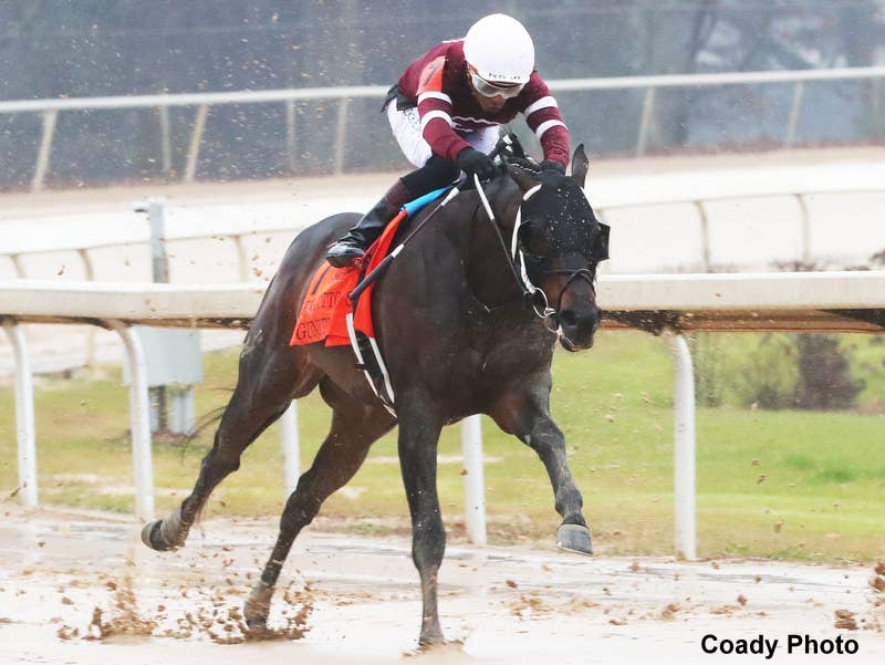 Gunite 'Exceeded Expectations' At Oaklawn, Points To Riyadh Dirt Sprint ...
