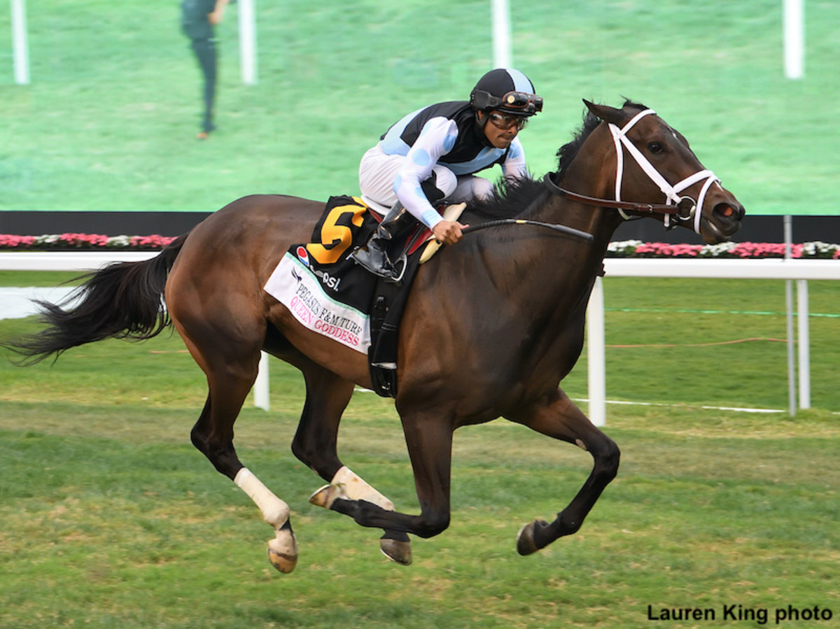 California-Based Queen Goddess Makes Successful Gulfstream Invasion In ...