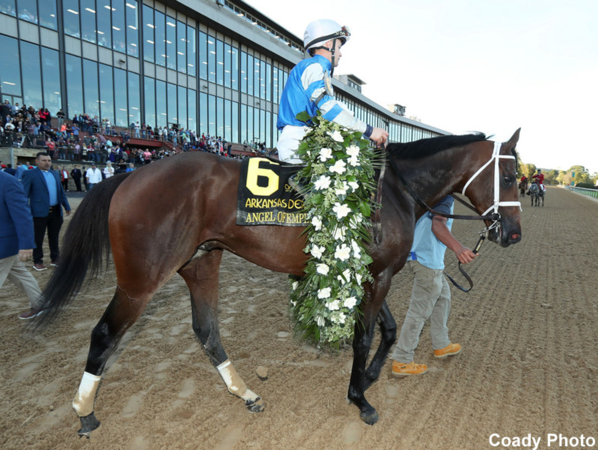 Bloodlines Presented By Mill Ridge Farm: Angel Of Empire's Ascent, And ...