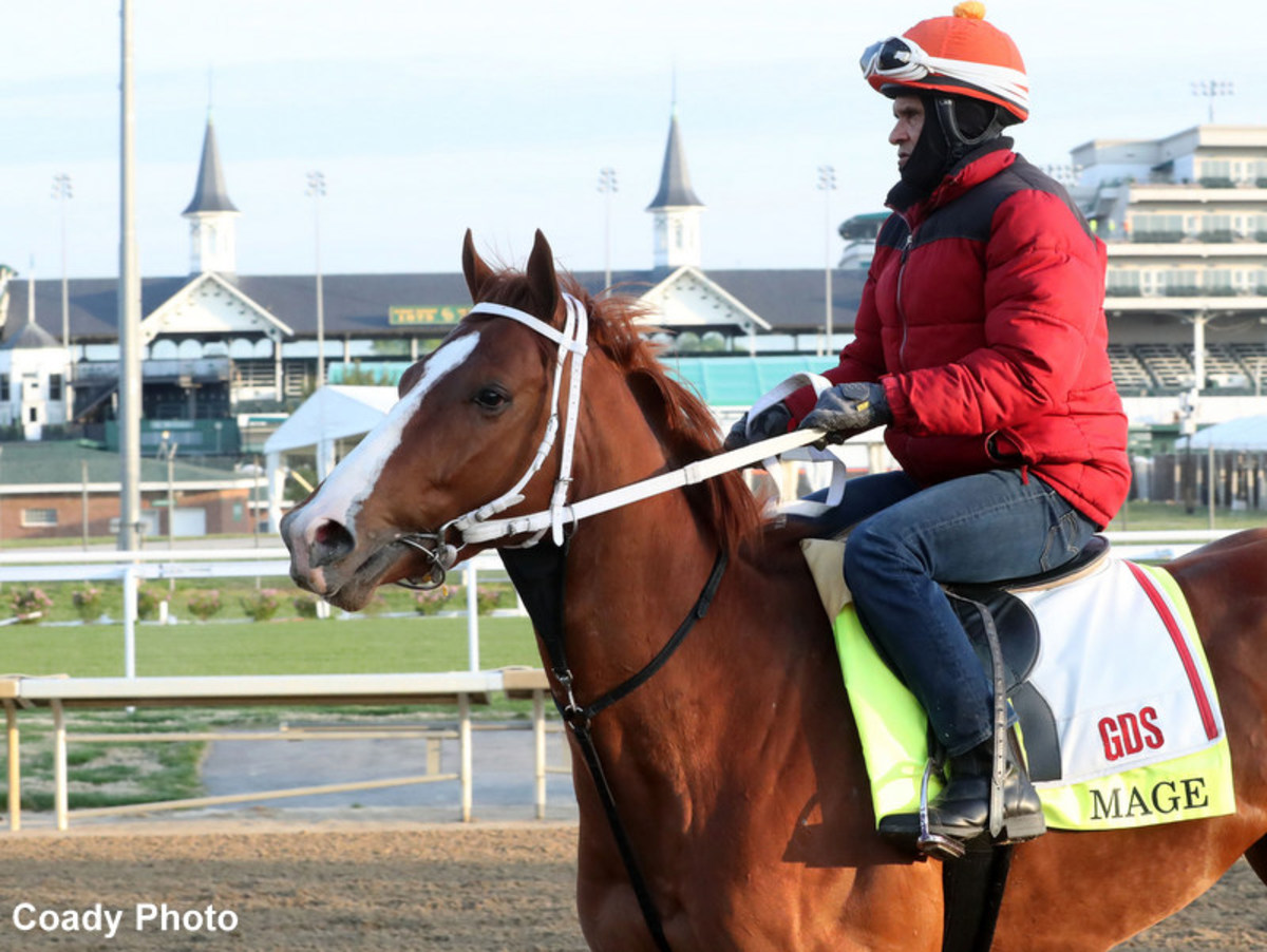 'Laid-Back' Mage Makes First Appearance At Churchill; Javier Castellano ...
