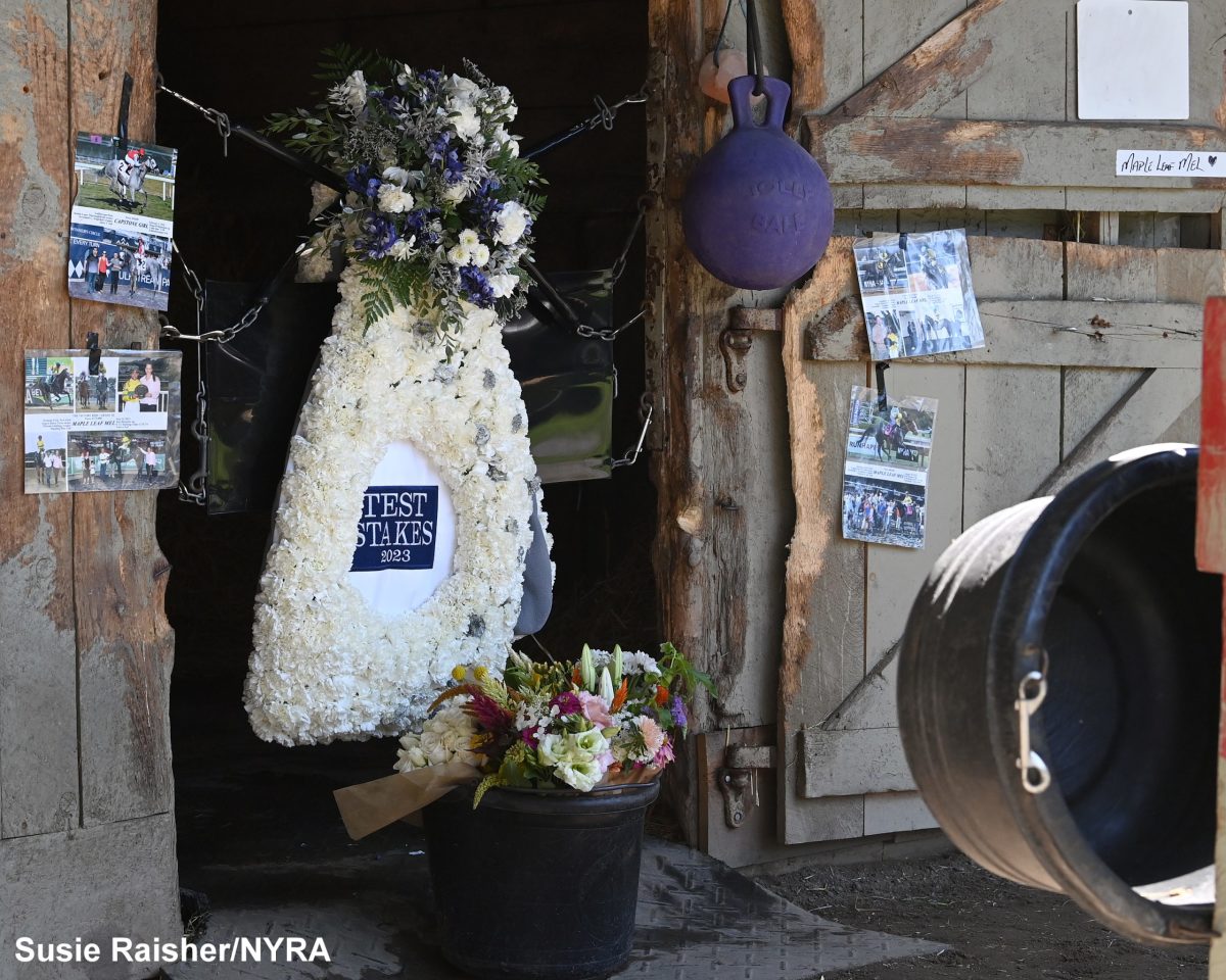 Tim Layden, Sean Clancy Win Media Eclipse Awards For Maple Leaf Mel ...