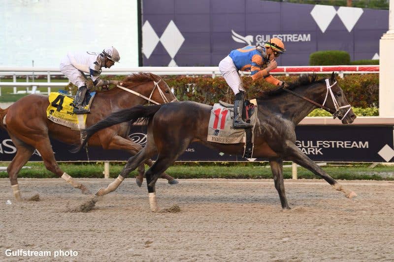 WATCH: Florida Derby Runner-Up Mage Cruises Through Easy Gulfstream ...