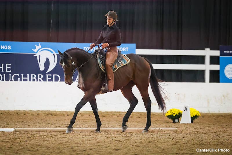 Western Dressage: The Perfect Fit For The OTTB - Paulick Report ...