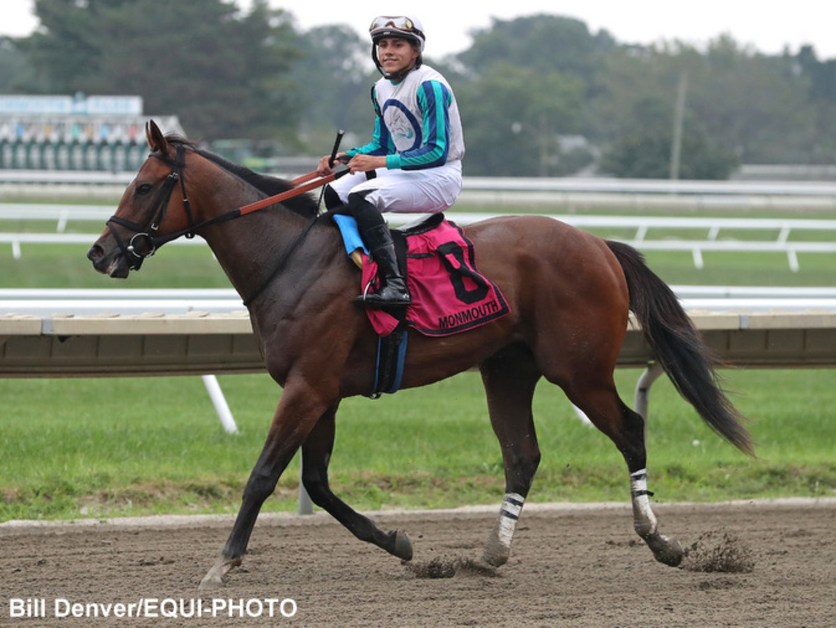 Bucchero Gelding Book'em Danno After Breeders' Cup Juvenile Turf Sprint ...