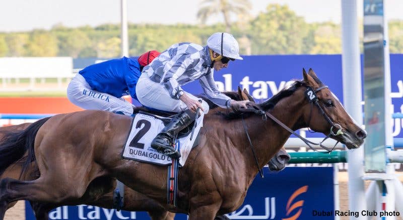 Broome Takes Dubai Gold Cup In Course-Record Time - Paulick Report ...