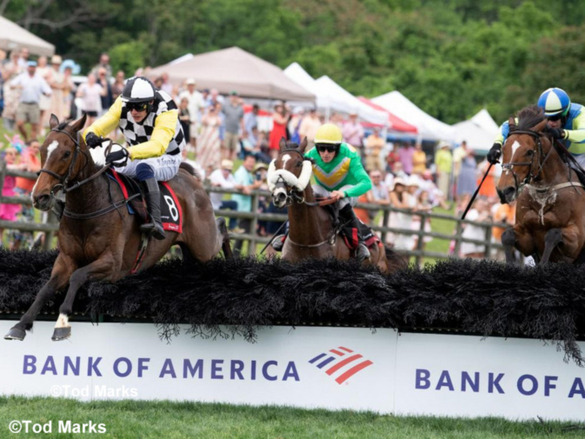 Steeplechase: Scaramanga Turns Back Snap Decision In Grade 1 Iroquois ...