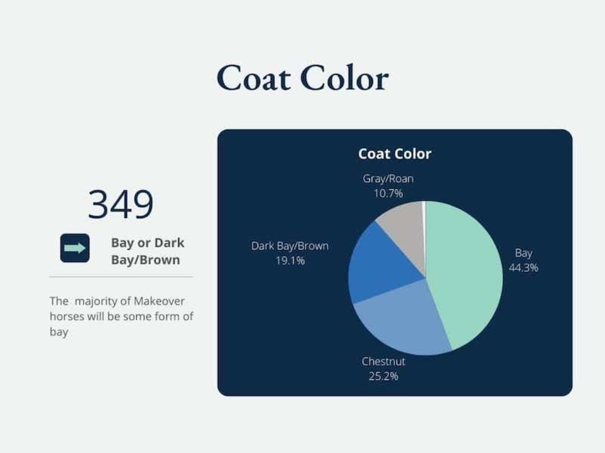2023 Thoroughbred Makeover Numbers Show OTTB Values Rising; Half Of ...