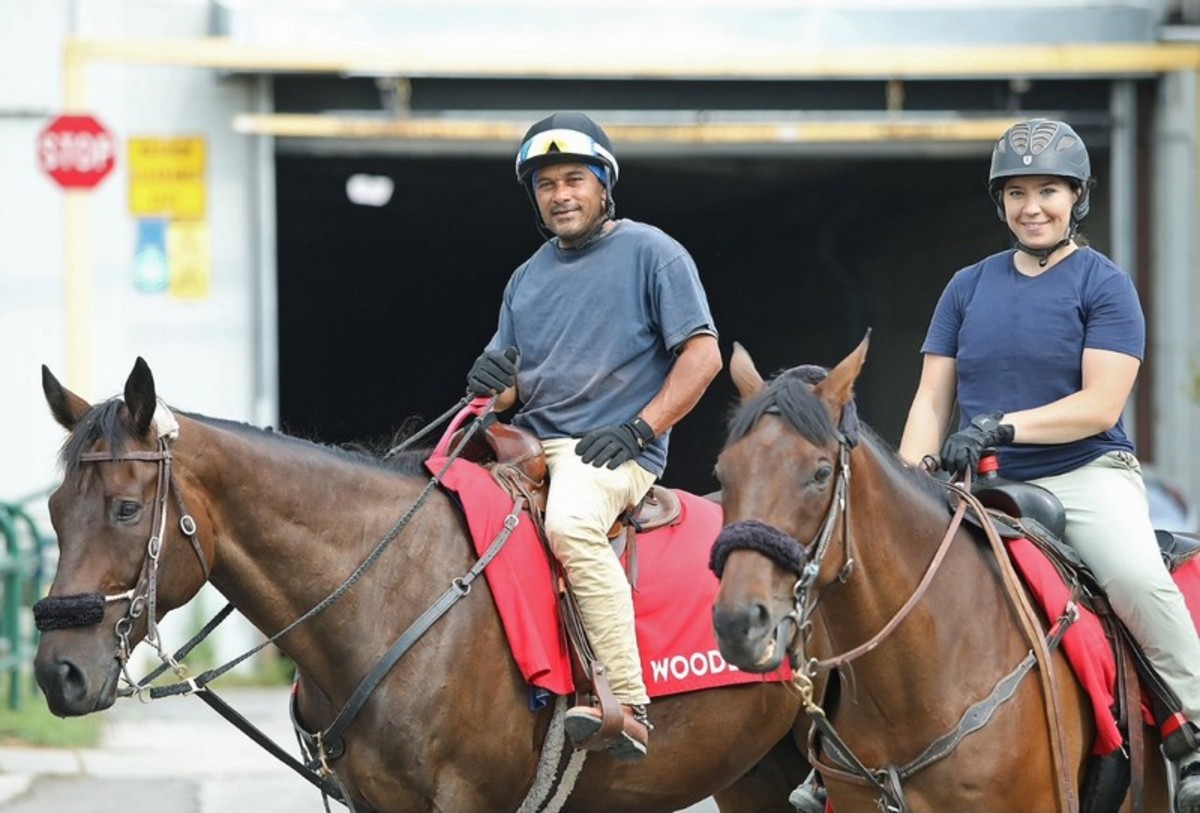 Taking The Lead: Persad And His Woodbine Pony Band Focused On Safety ...