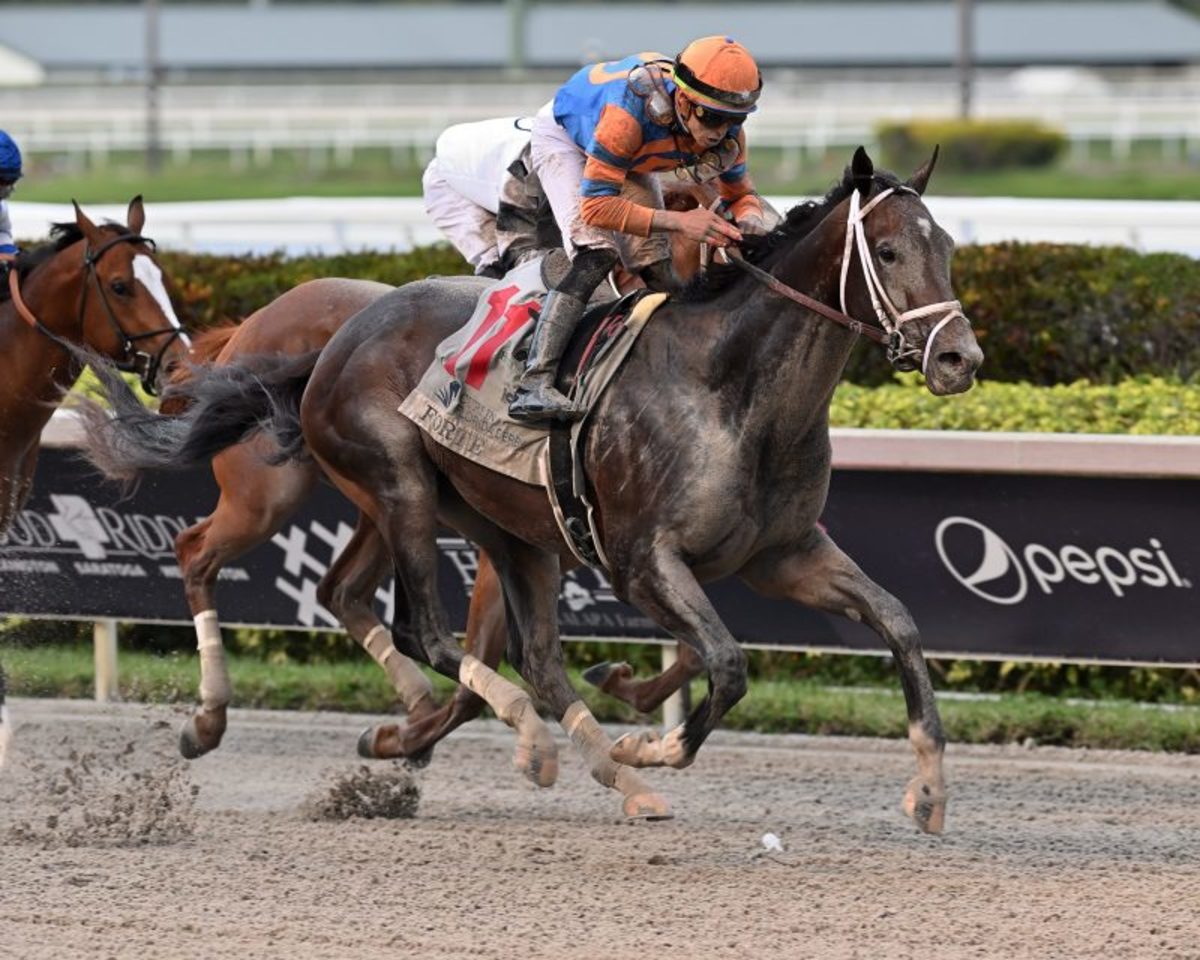 Forte's Late Rally In Florida Derby Solidifies Status As Kentucky Derby ...