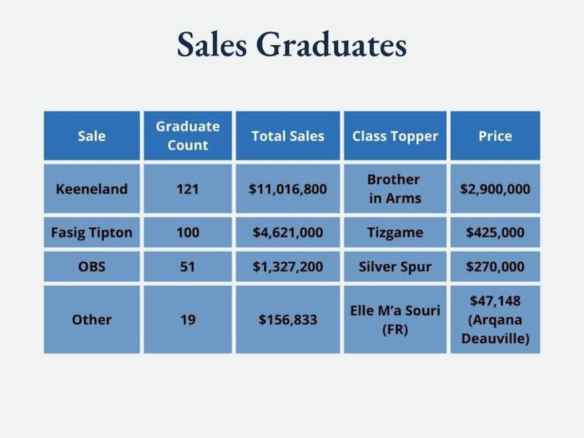 2023 Thoroughbred Makeover Numbers Show OTTB Values Rising; Half Of ...