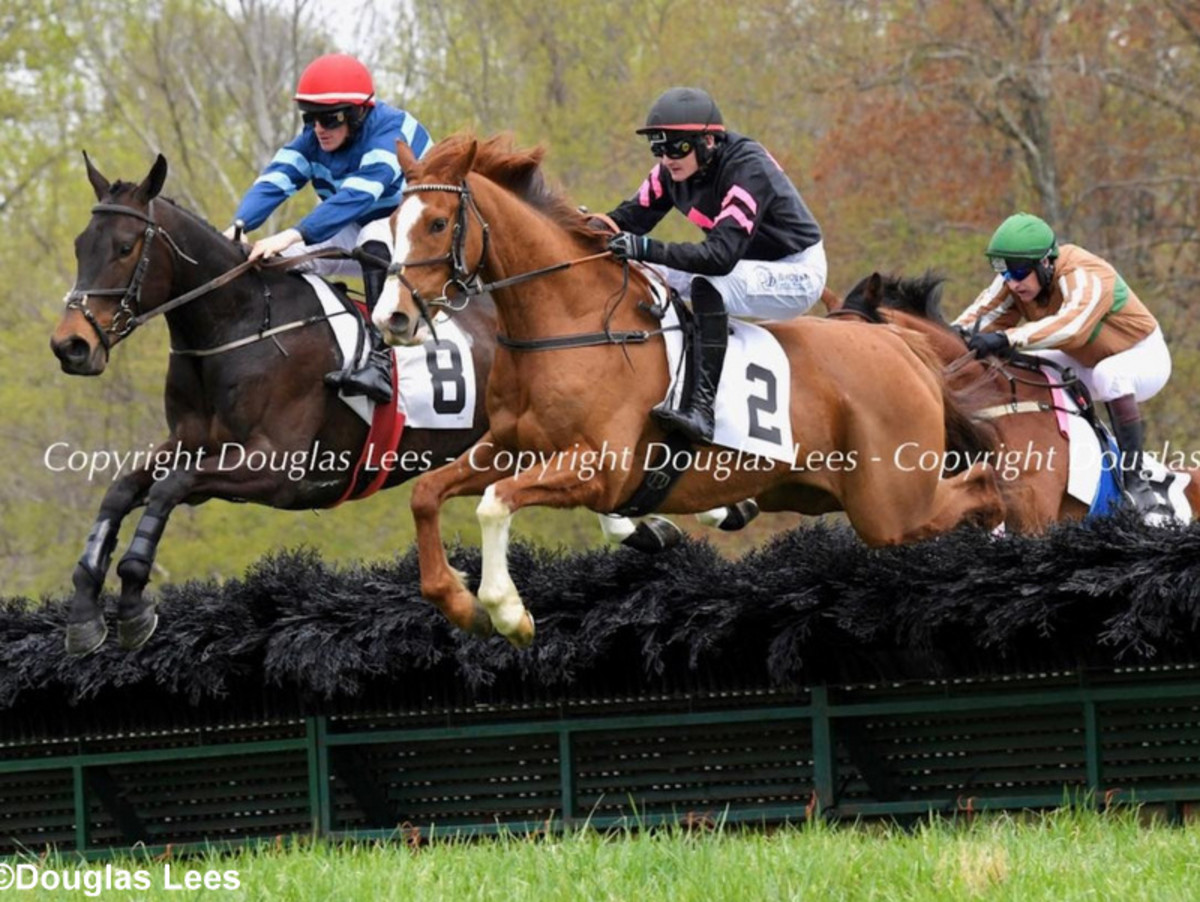 NSA: Three Different Winning Combinations Score At Old Dominion Point ...