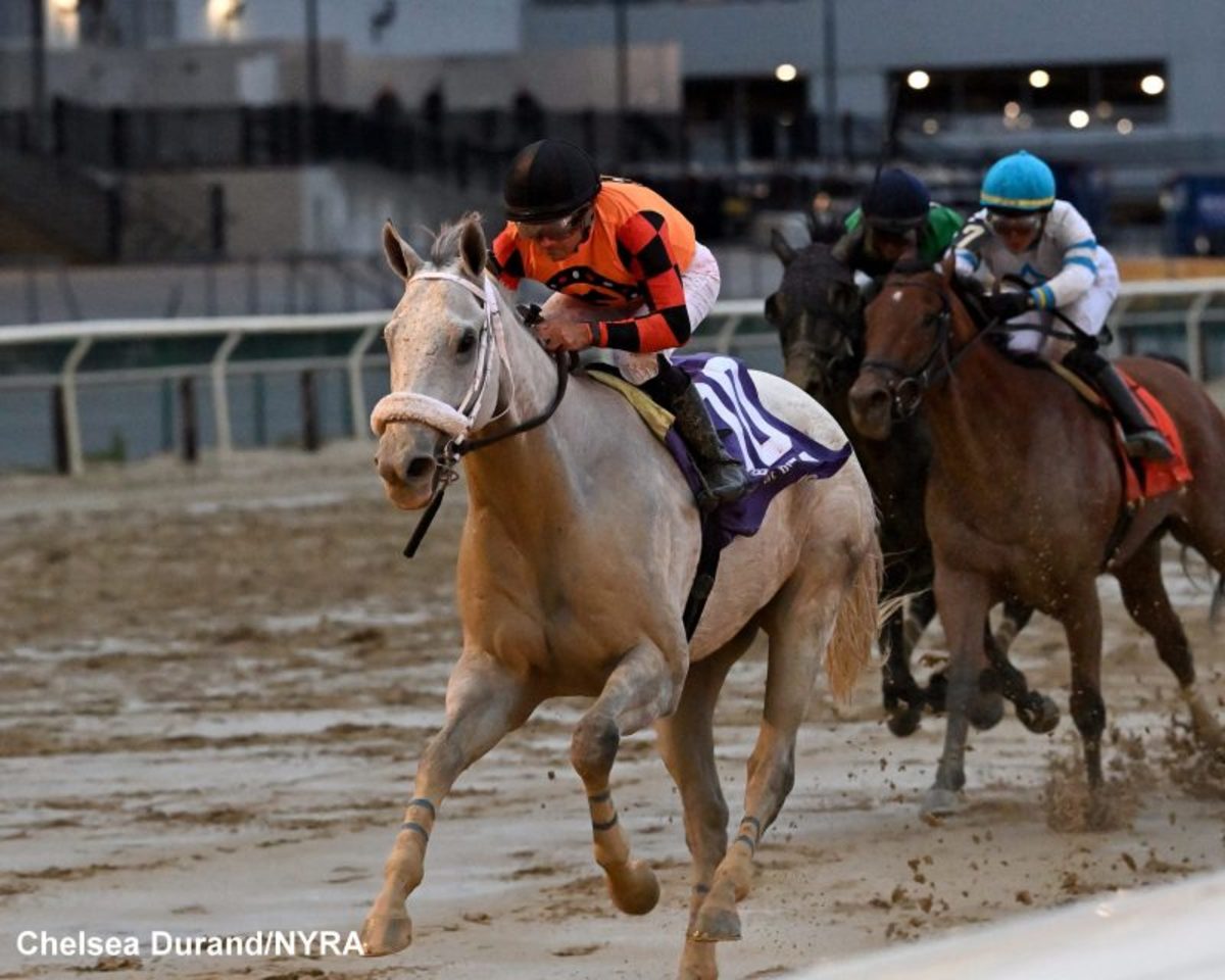 Empire Showcase Day: Franco, Butler Homebreds, Straight Arrow Stand Out ...