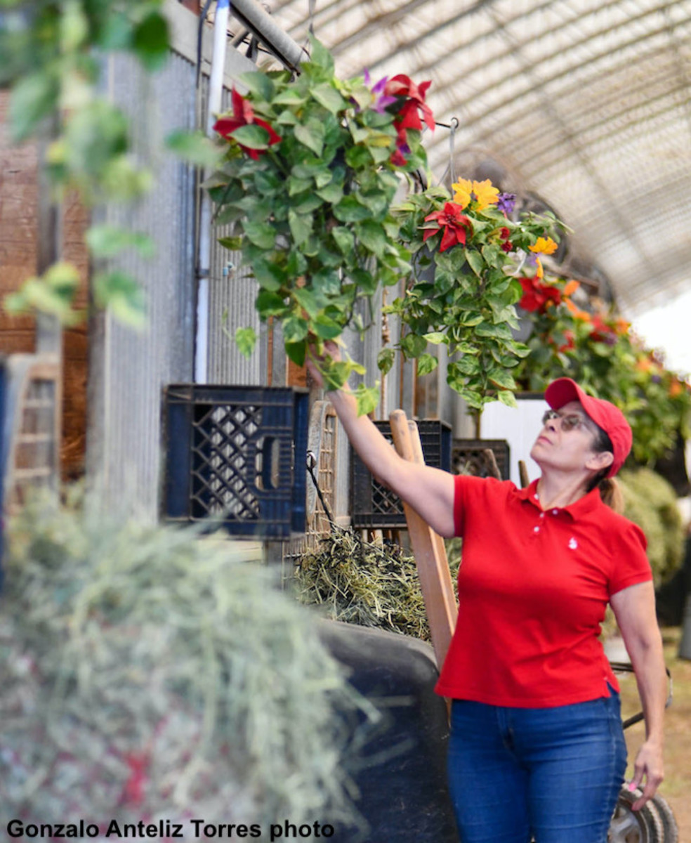 Kirkpatrick & Co. Presents In Their Care: Married Couple Enjoys A ...