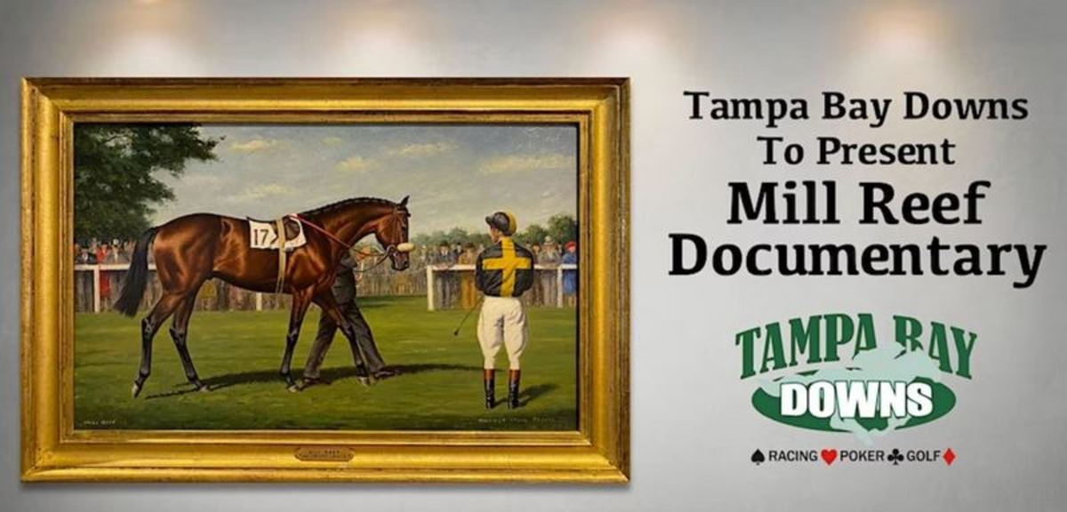 Tampa Bay Downs Will Show Film 'Mill Reef: A Legacy Of Heart' On Feb ...