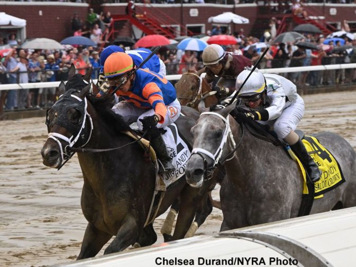 Forte Retains Top Spot In Breeders' Cup Classic Rankings; Proxy Joins ...