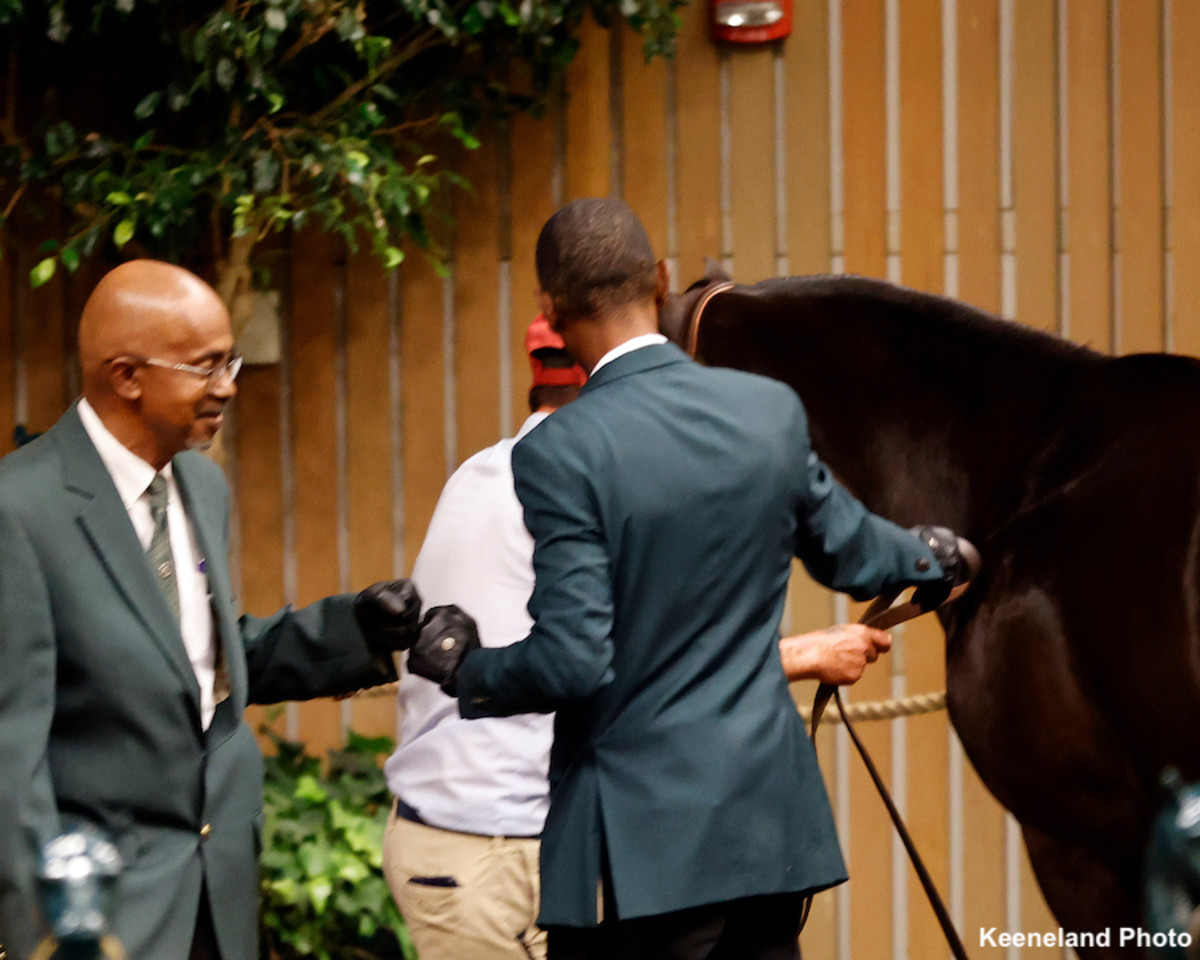 'Adrenaline Rush': Instagrand Colt Brings Big Pinhook Score For ...