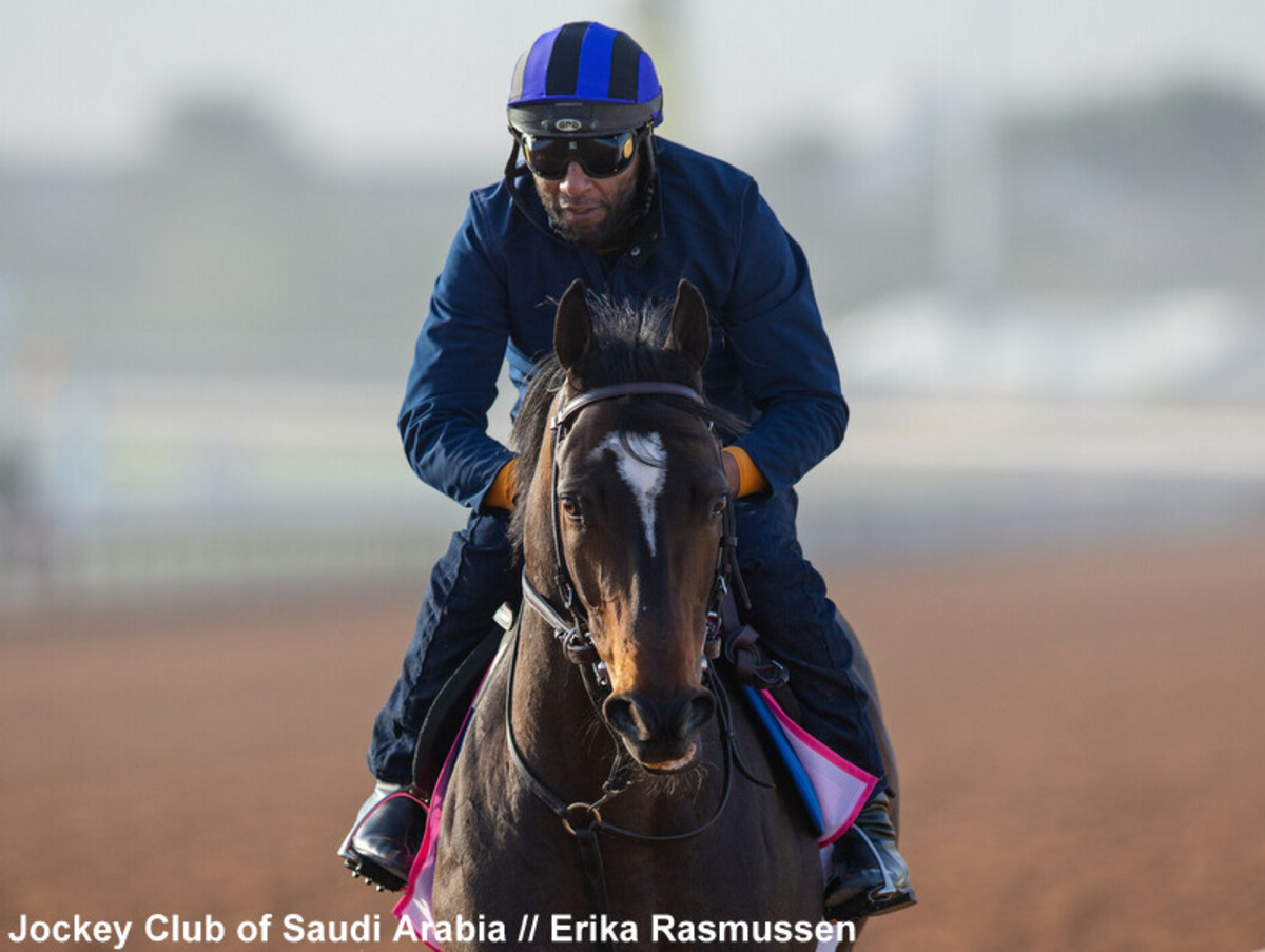 Trainer Chad Summers In Familiar Position With Riyadh Dirt Sprint Contender Meraas - Paulick ...