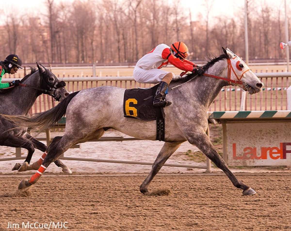 Not A Job But A Lifestyle: The Mental Health Challenges Facing Jockeys ...