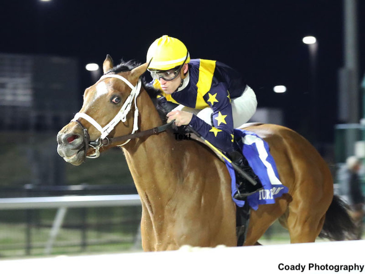Road To Kentucky Oaks: Botanical Cruises As Cincinnati Trophy Favorite ...