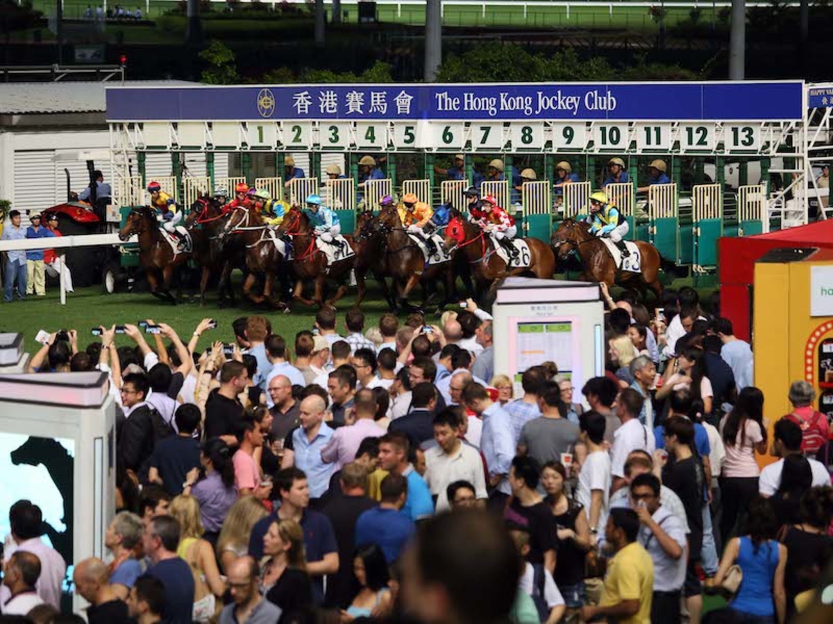 Hong Kong Racing Study Guide: Full Starting Gate Means Great Betting ...