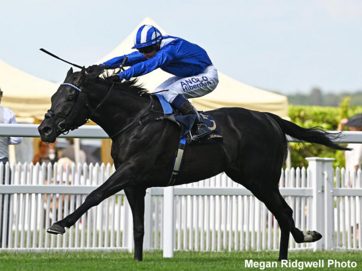 Breeders' Cup Challenge: 'Brilliant' Mostahdaf Romps By Four Lengths In ...