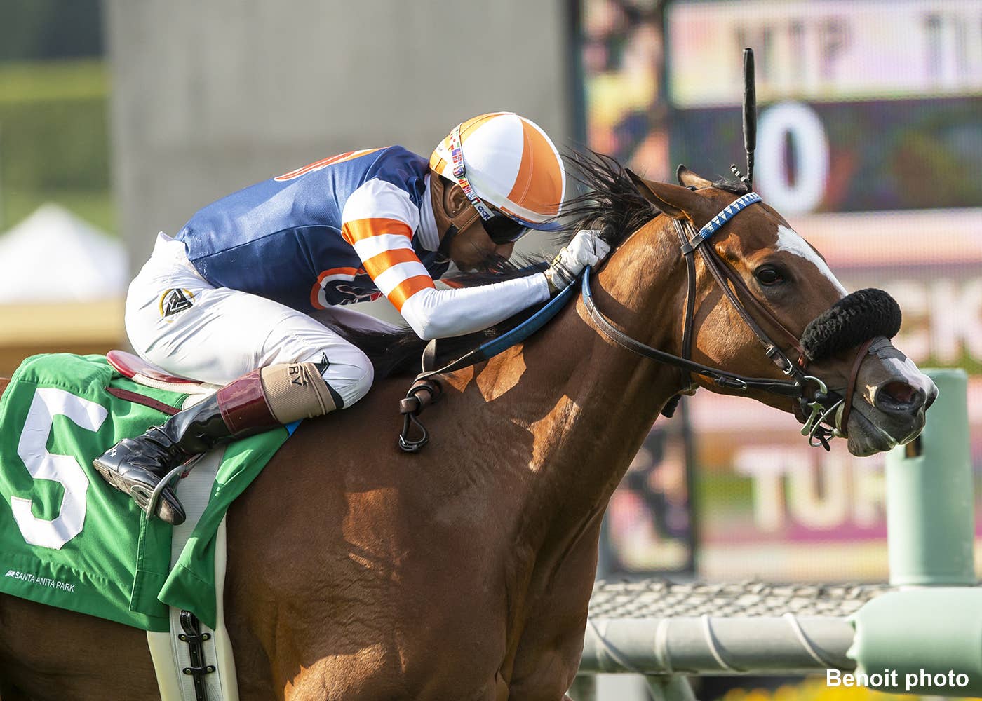 Elm Drive, Eda Among Nine Contesting Holiday Renewal Of Great Lady M ...