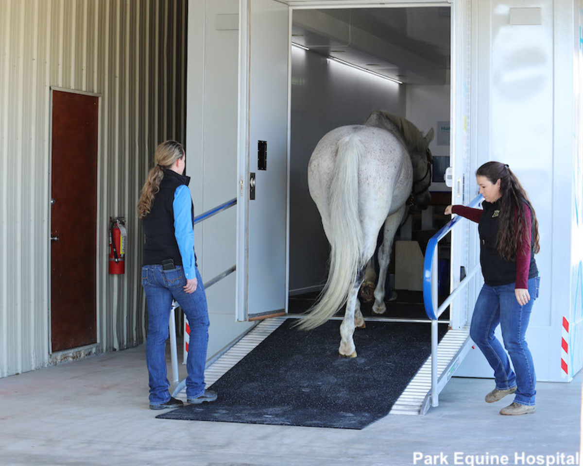 New Standing MRI Debuts at Park Equine Hospital - Paulick Report ...