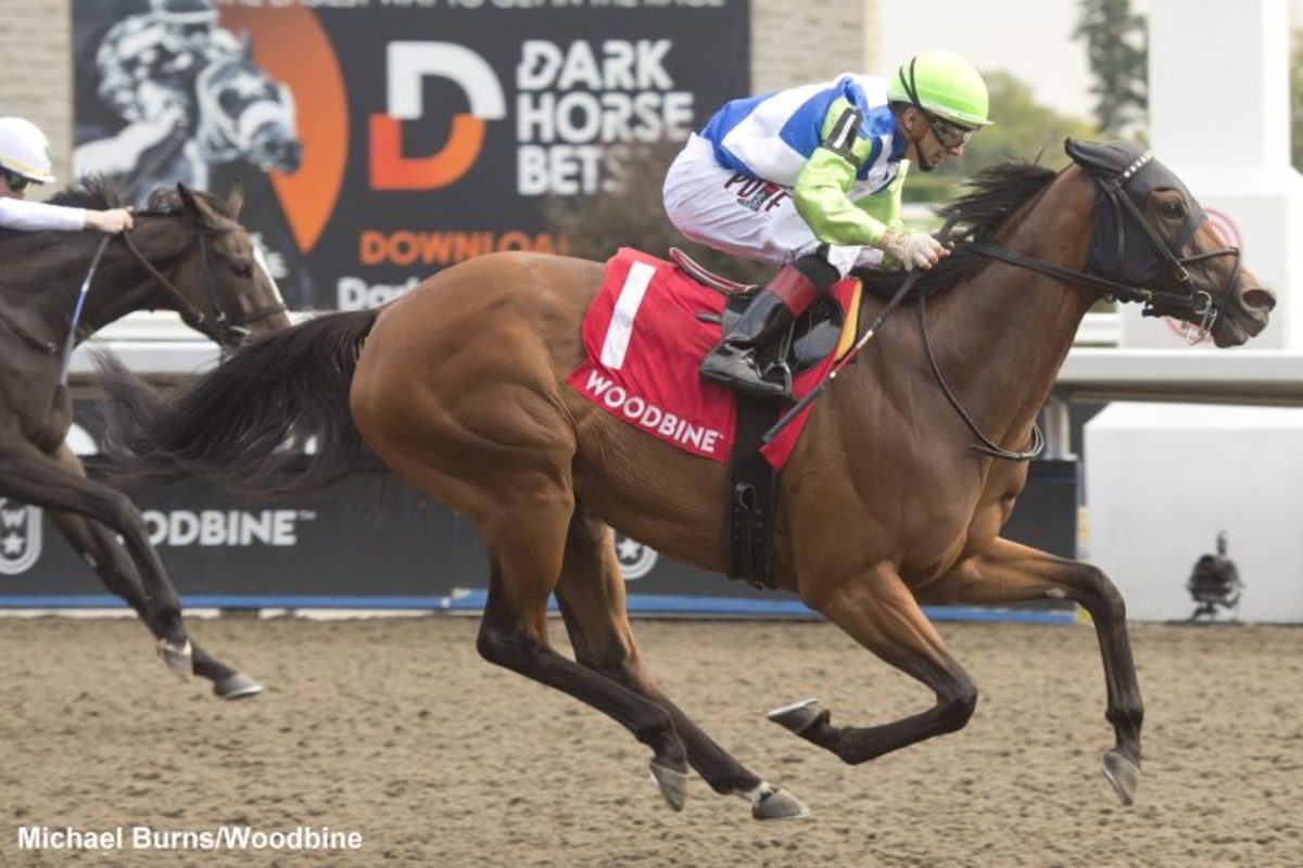 Ready To Venture Wins Seaway To Cap Lael Stables' Graded Stakes Double ...