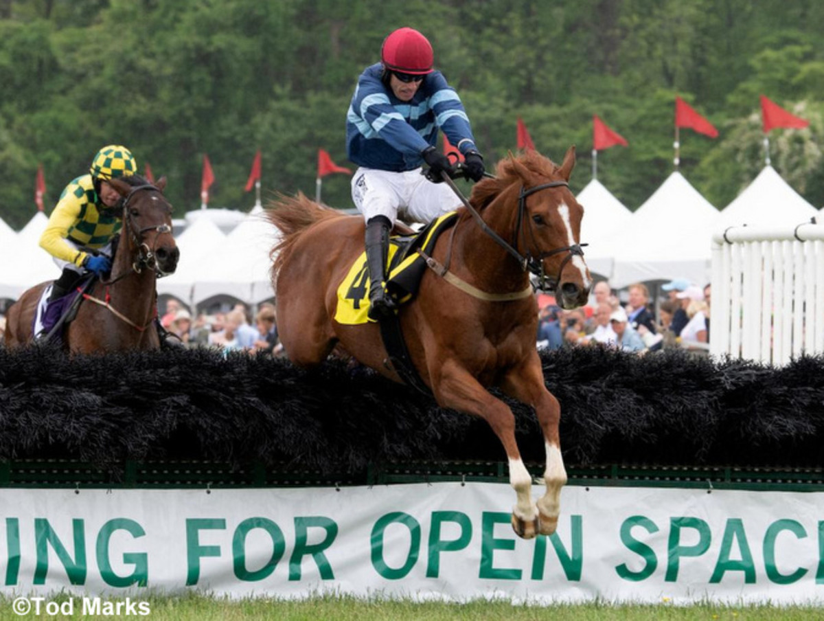 Steeplechase: Awakened, Elusive Exclusive Shine In Radnor Features ...