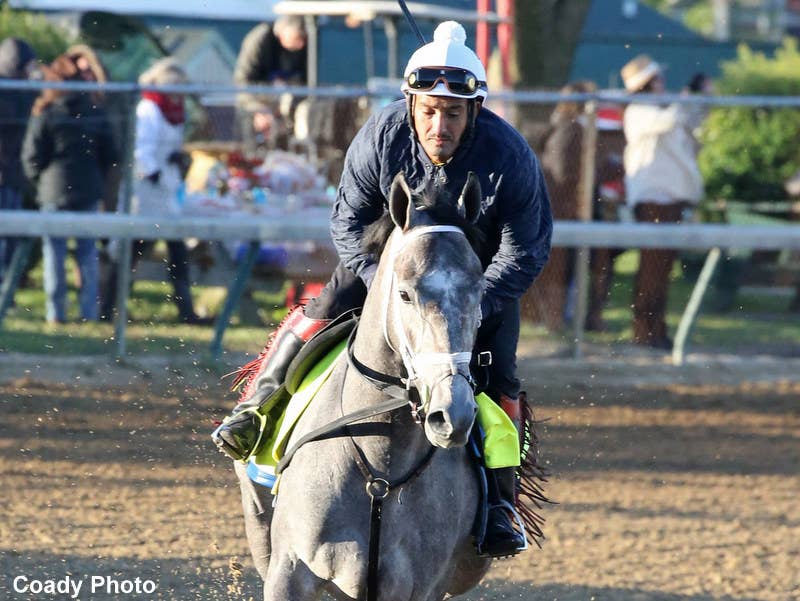 Hit Show, Red Route One Top Nominees To Oklahoma Derby - Paulick Report ...