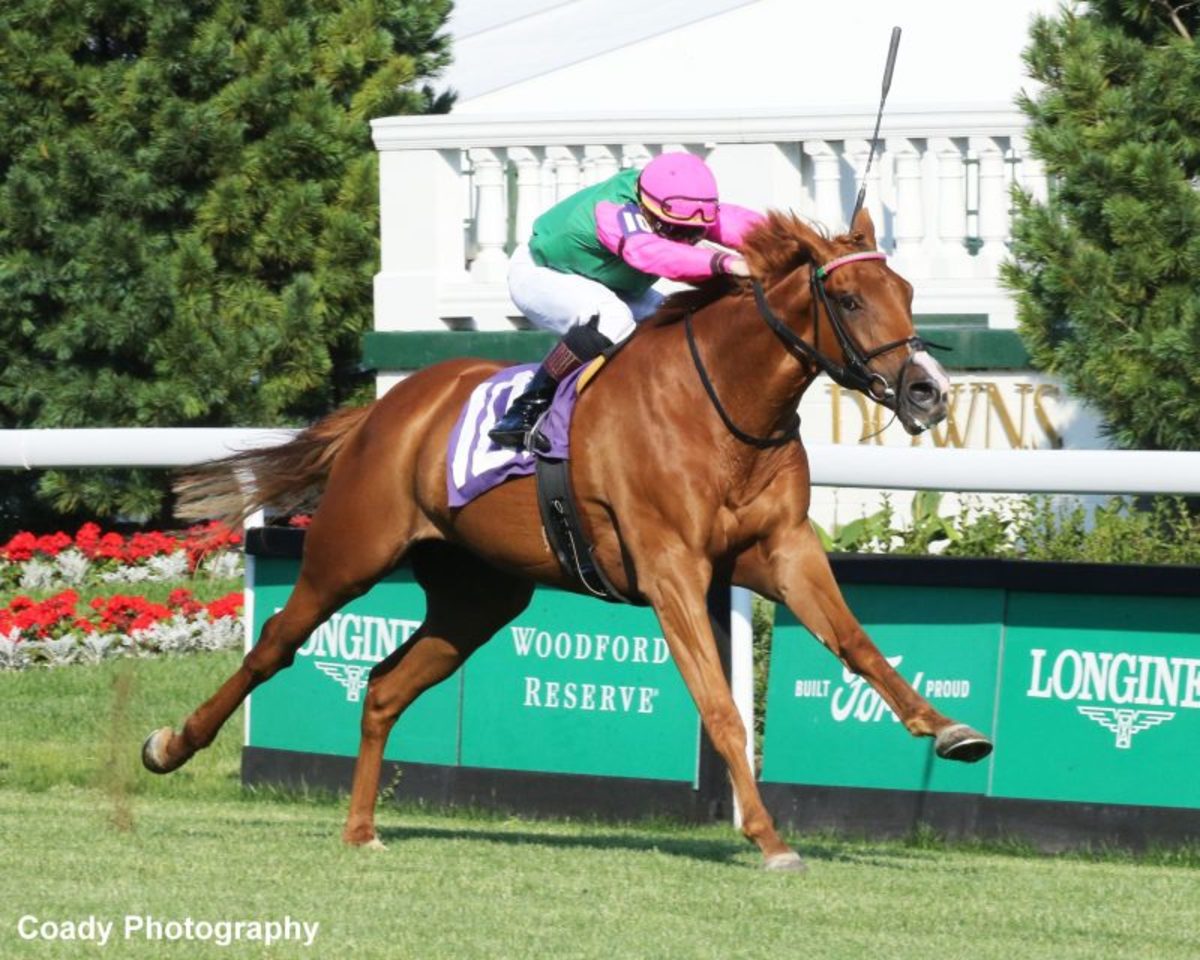 Foreign Relations Authoritative Winner Of Louisville In Stakes Debut ...