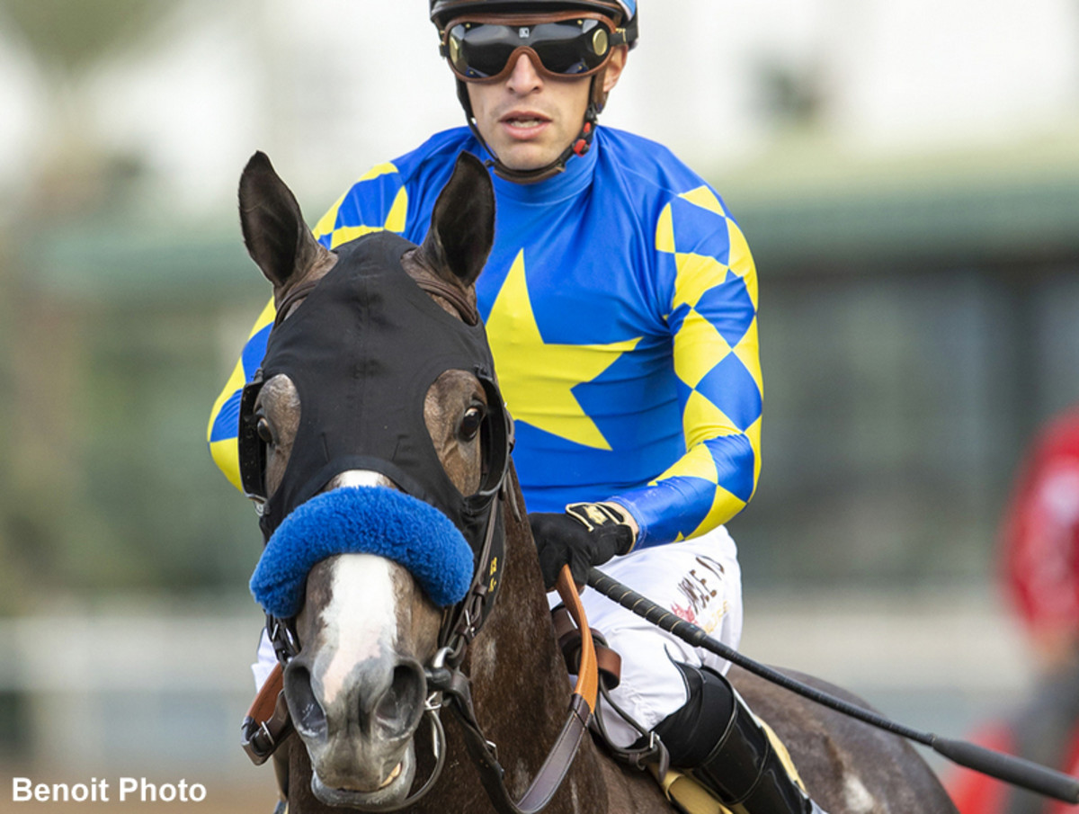 Reincarnate Made Morning-Line Favorite For Arkansas Derby; Wet Paint ...