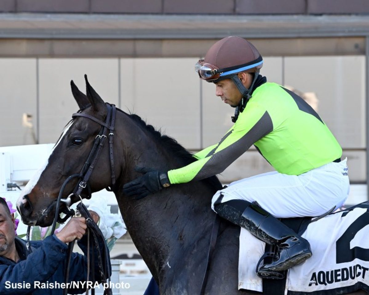 Law Professor On Target For Pimlico Special - Paulick Report | Latest ...