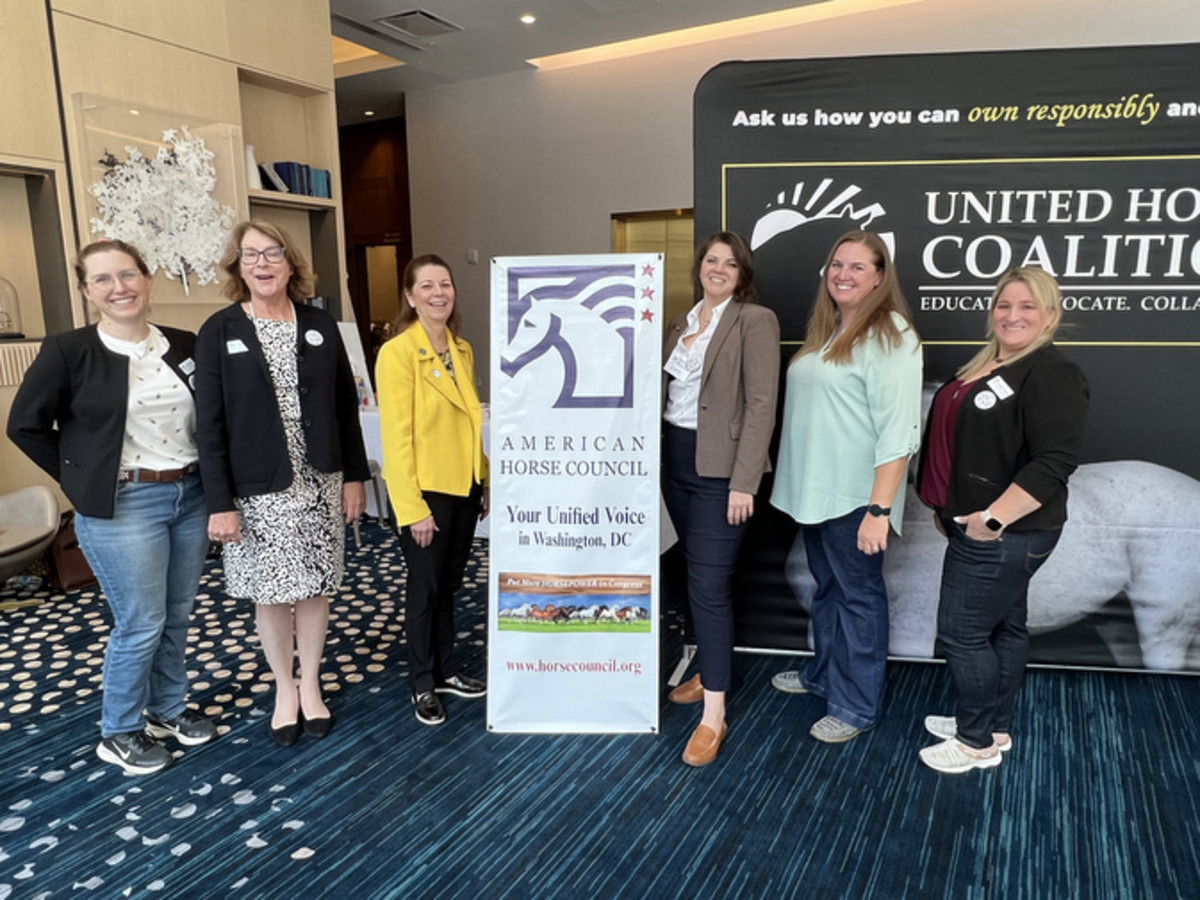 Shaping The Equine Industry's Future A Hot Topic At 2023 American Horse ...